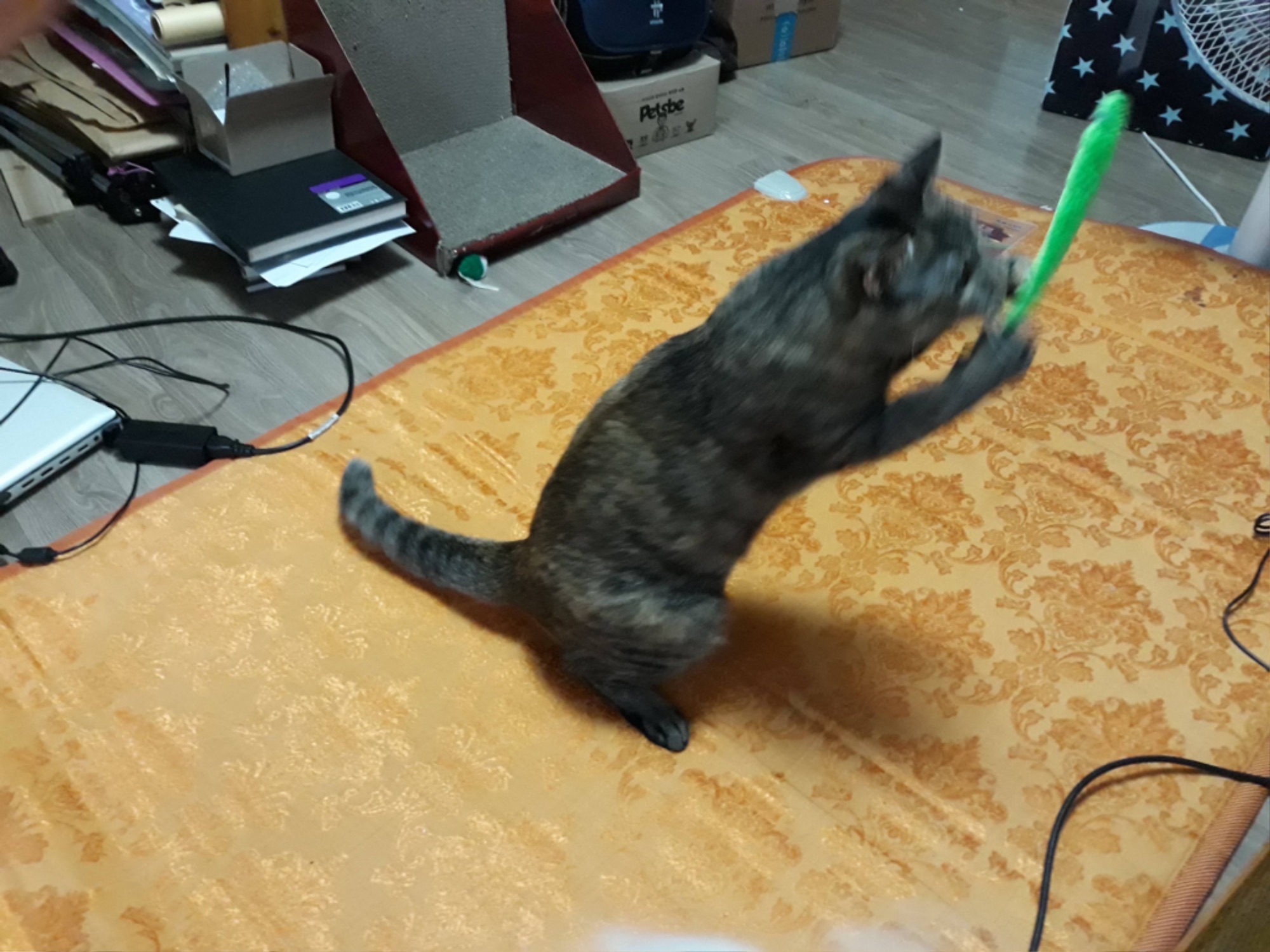 낚시 부분이 매우 현실적인 게임 파크라이 5 | (백업)유머 게시판(2020-2021)