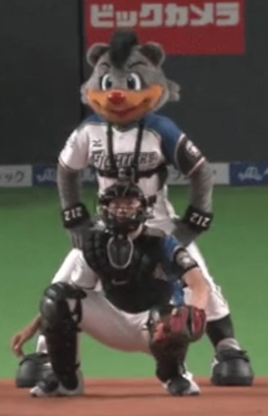 타자도 당황한 일본 레전드 시구녀.gif | (백업)유머 게시판(2021-) | RULIWEB