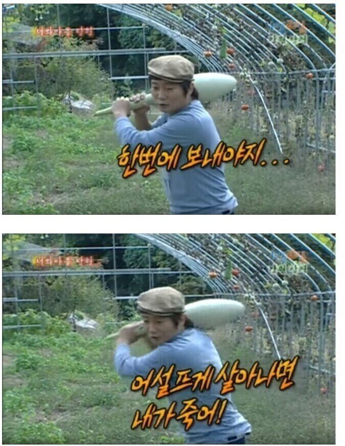 자1살용품 파는 가게에서 물건보증을 할수있는 방법. | 유머 게시판