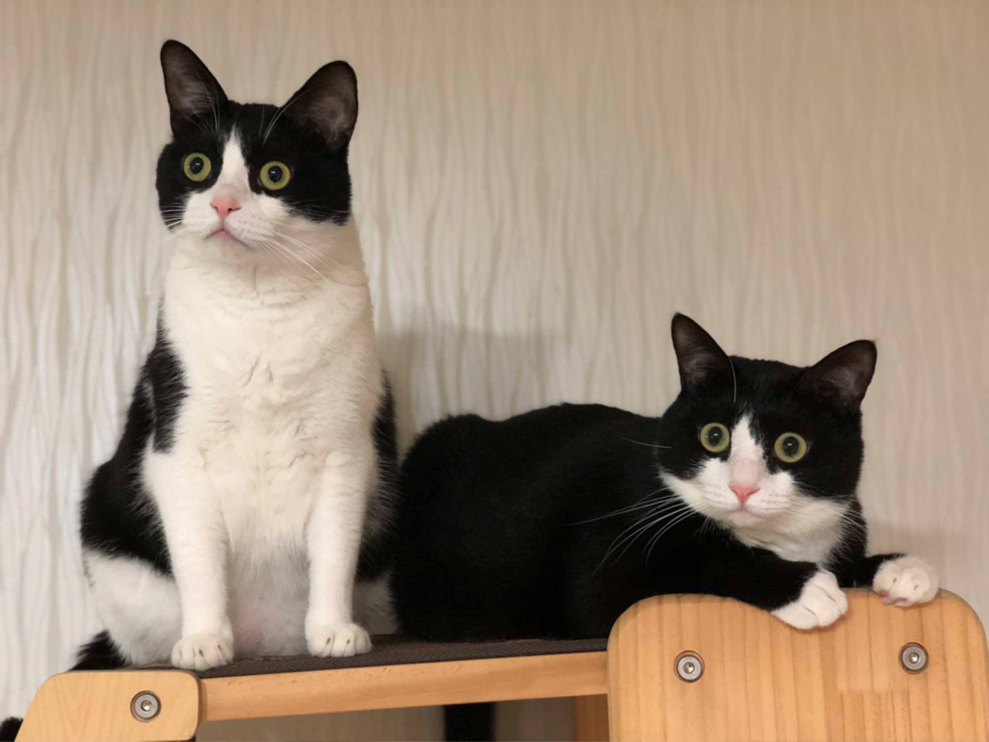 next time baby | 소녀전선