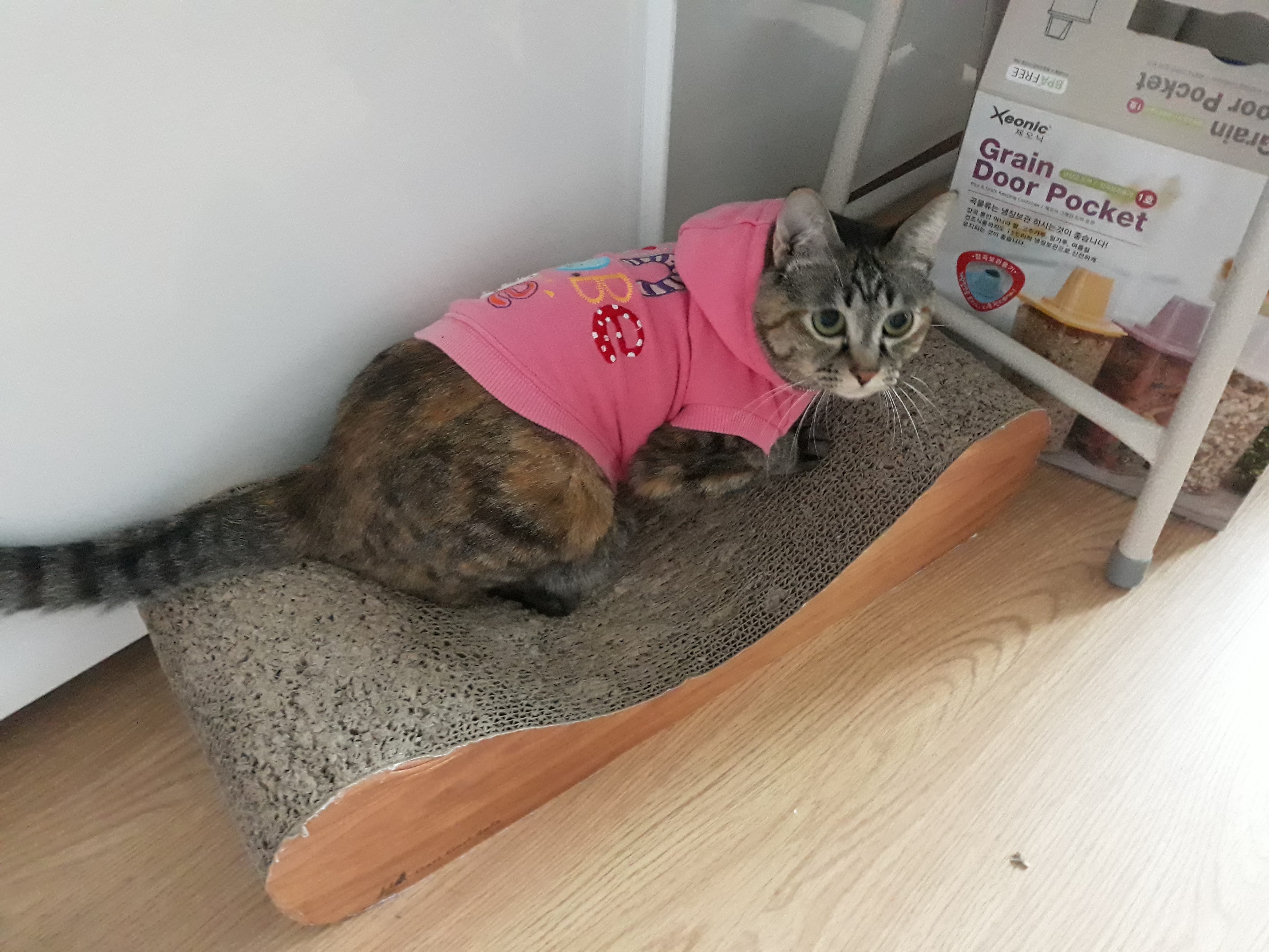 주민 복장이 마음에 안드는 촌장 | 유머 게시판