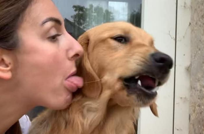 별건 아니고 그냥 새끼 리트리버가 자는게 엄청 귀여운짤 | 유머 게시판