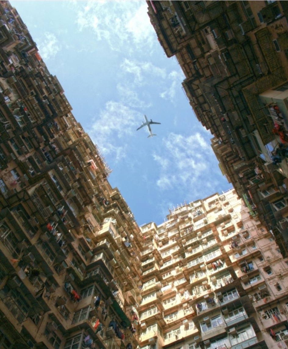 Scp) 미친 건축가, scp-184 만화.manhwa | 유머 게시판