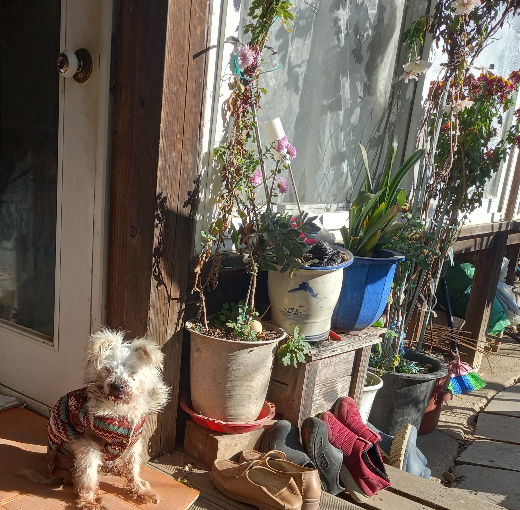 (23년 마무리하며) RPG 91위 ~ 1위 추천목록 리스트 입니다 | 플레이스테이션 게임 이야기