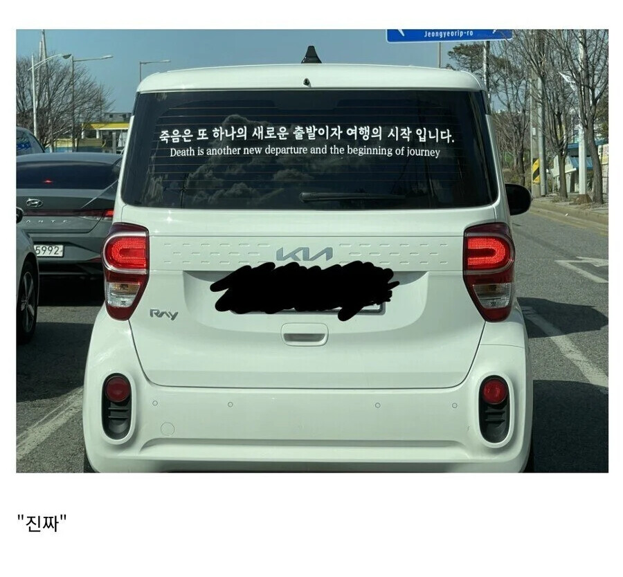 창원시 광기의 초보운전