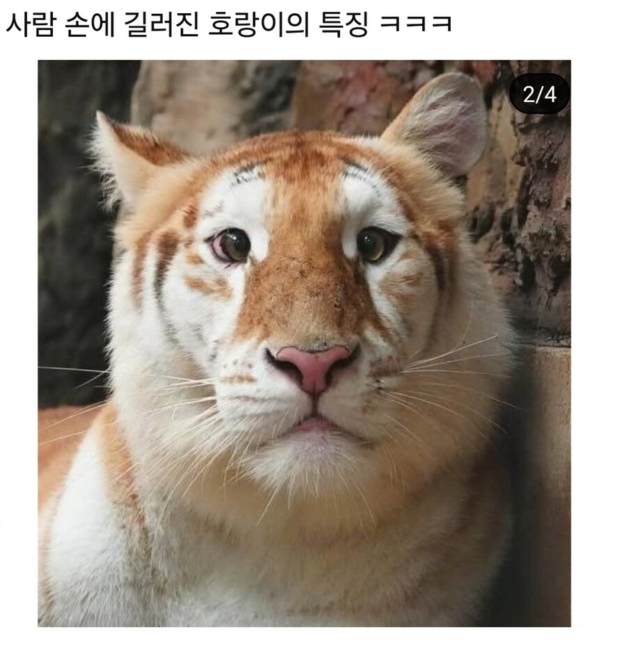 눈매의 중요성jpg