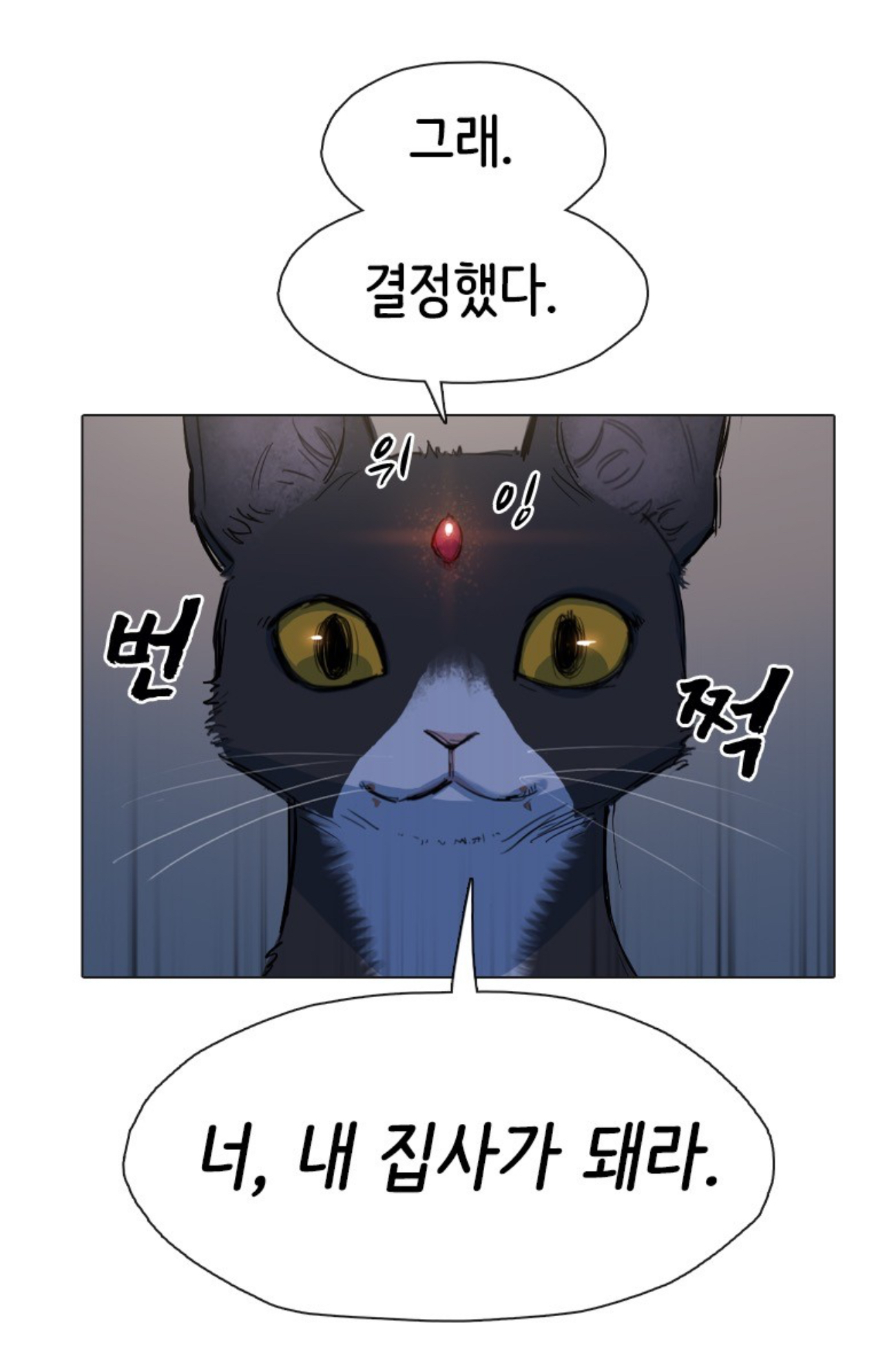 축축해 차가워 무서워 도와줘 원숭이아저씨