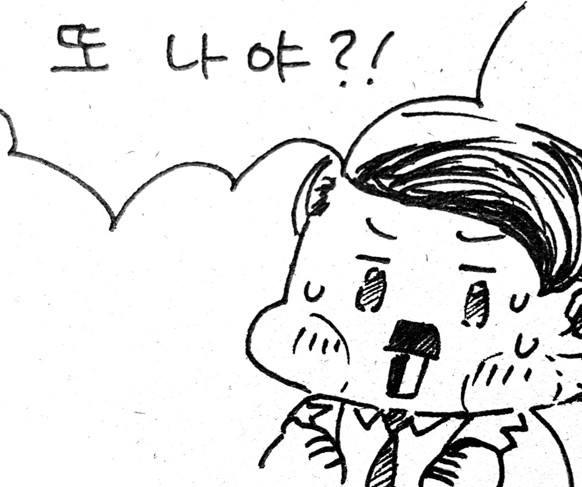 My computer의 정확한 원어민 발은은 마인 퓌러