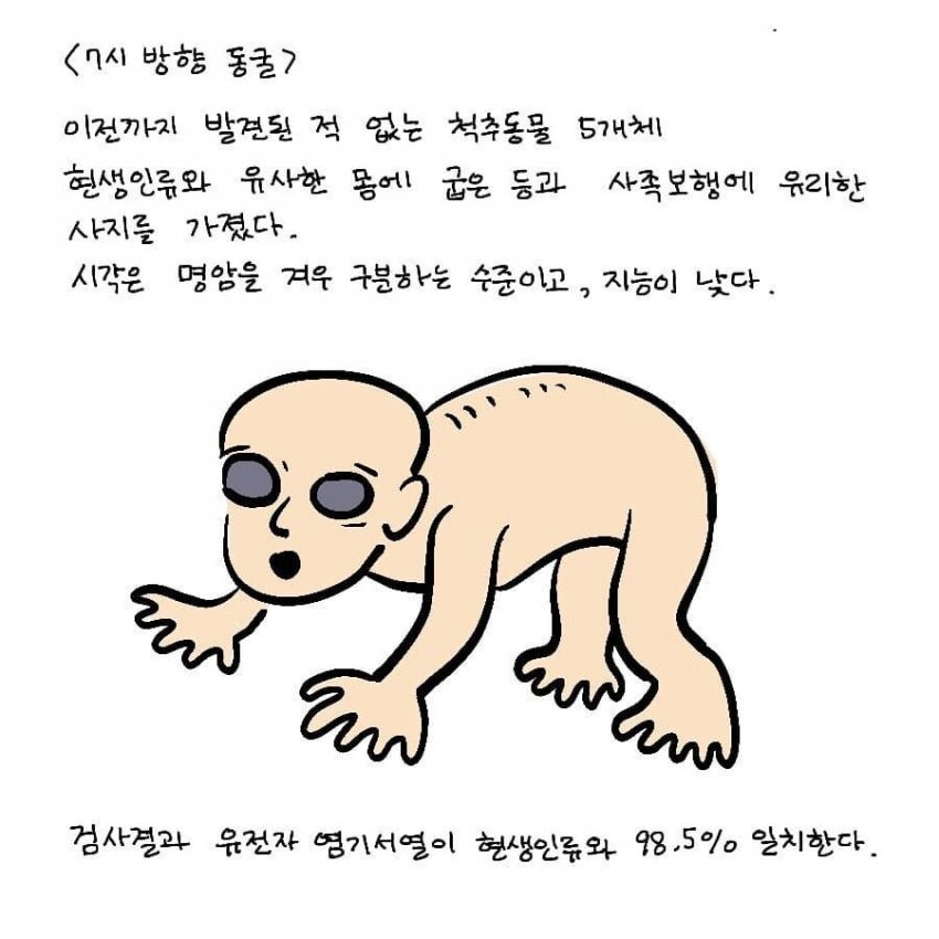 SCP) SCP-144-KO 인류학 섬 manhwa | 유머 게시판