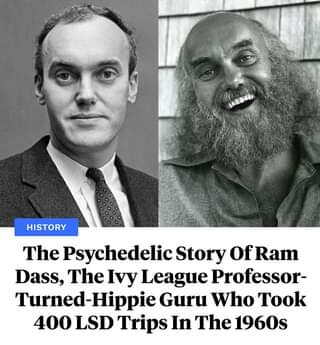 LSD는 너무나도 무서운 약물이다 | 유머 게시판