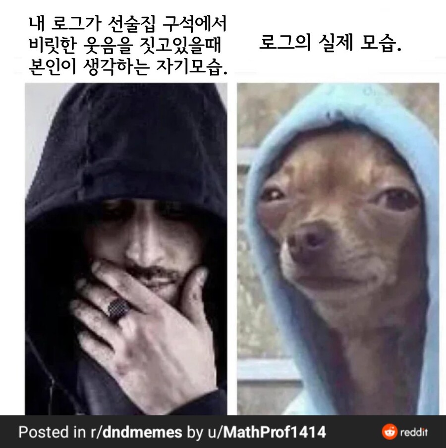 TRPG) 디앤디(던전 앤 드래곤) 밈 모음 | 유머 게시판