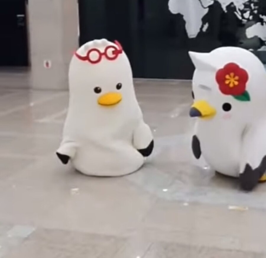 부산 시청에서 맞짱 뜬 부산과 통영의 마스코트...x | 유머 게시판