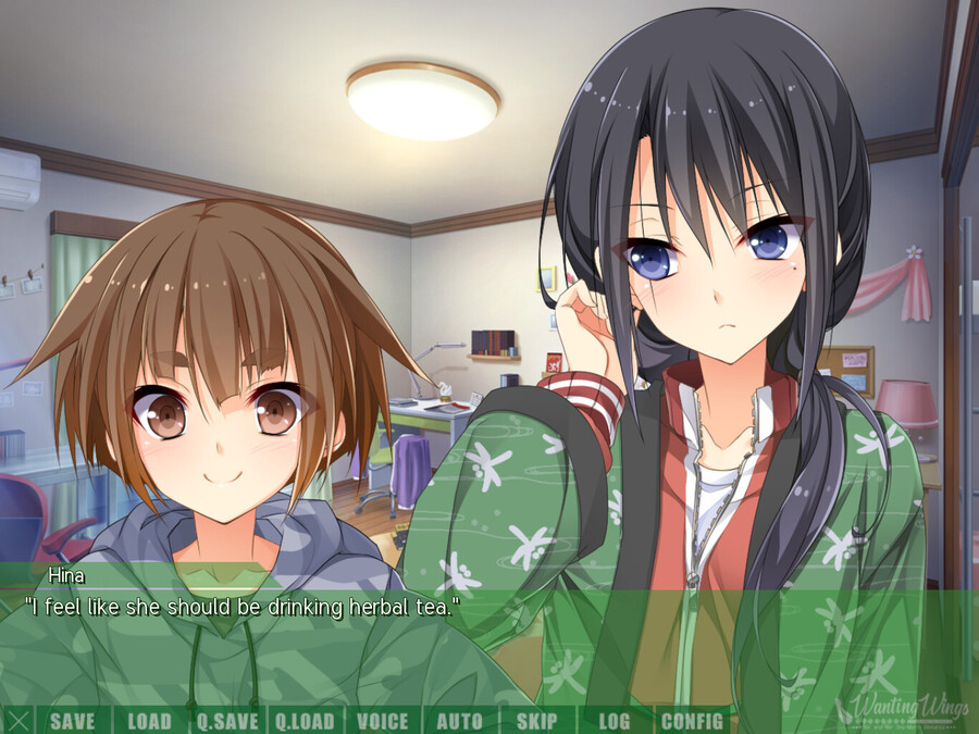 BaseSon의 비주얼 노벨 그대의 날개 Couples 스팀 출시