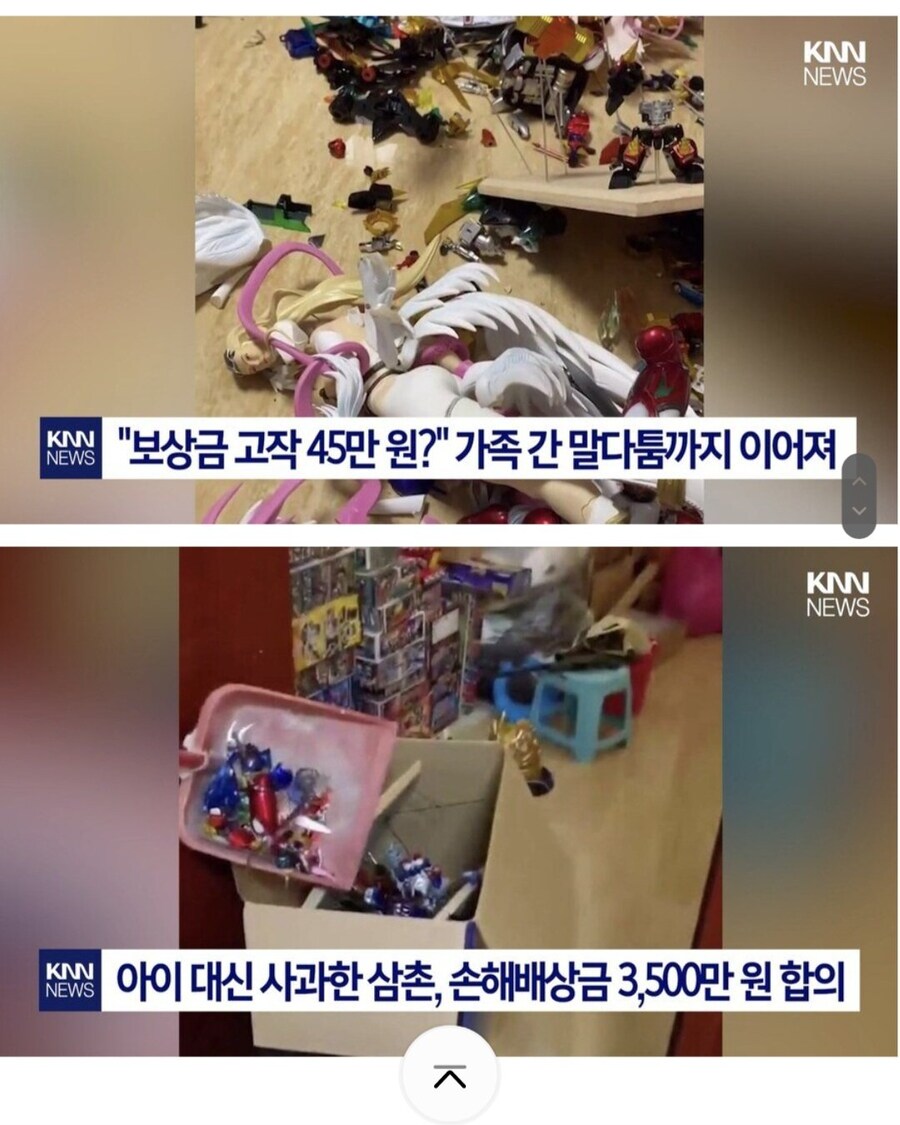 명절날 와서 4000만원어치 피규어들 부숴놓은 사촌동생.jpg | 유머 게시판