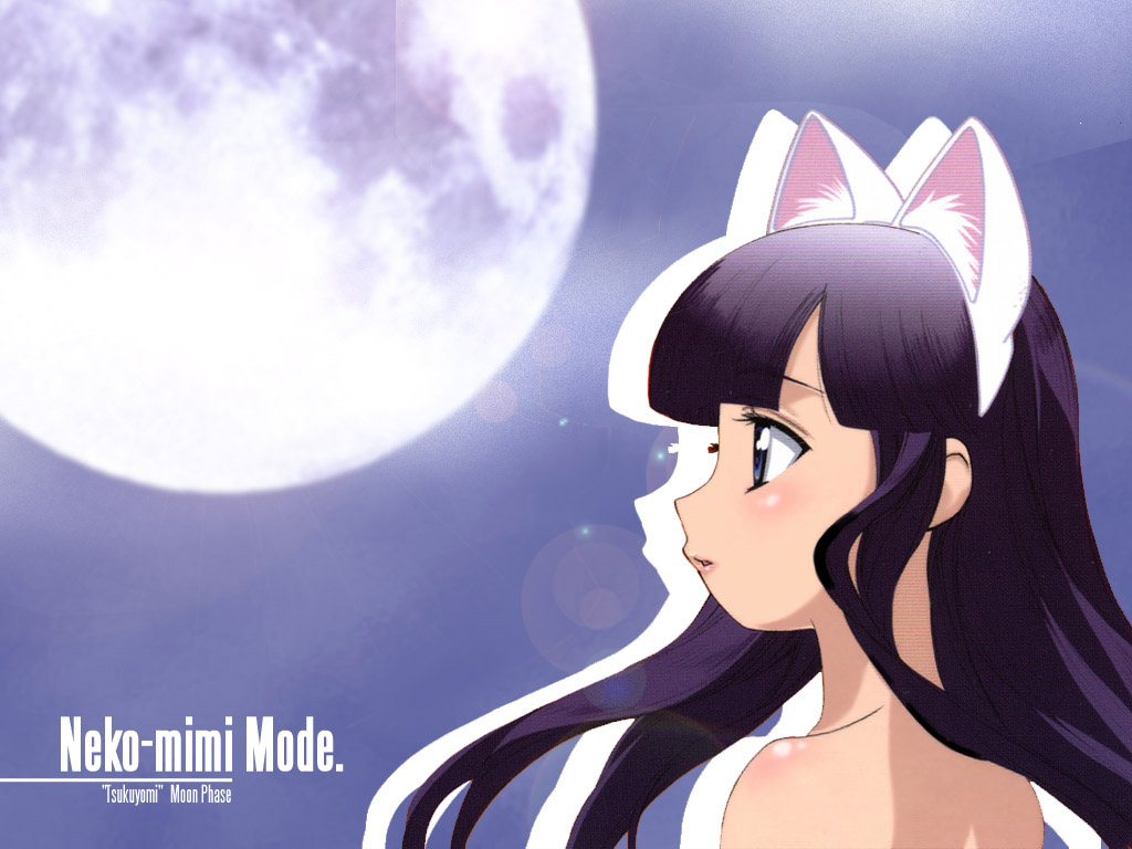 월영(Moon Phase) | 월페이퍼 배경화면 갤러리