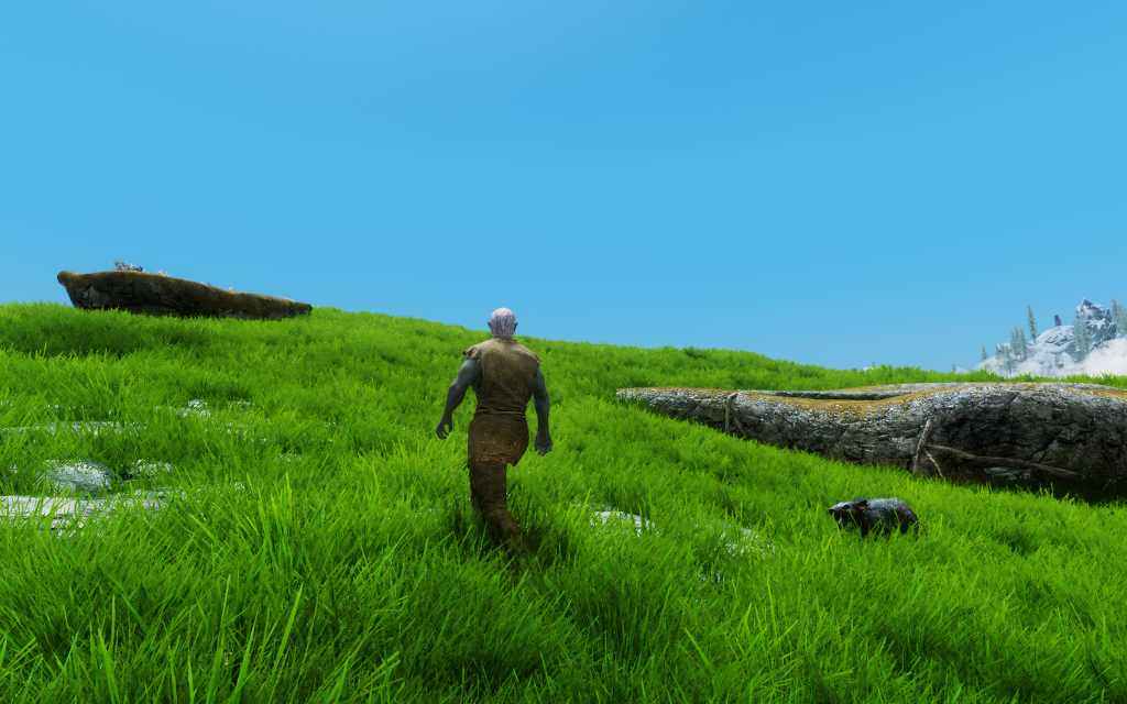 BGM스카이림 잔디모드 Dat Grass