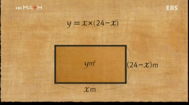 [EBS MATH] 본격 야구 애니 | 애니메이션 갤러리