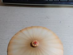 1/7 Fu Houhou 완성~^^ (없으면 그리지 뭐 .. ) | 피규어 갤러리