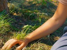 LSD 부작용 중에 진짜 신기한거 | 유머 게시판 | RULIWEB