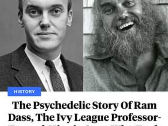 LSD는 너무나도 무서운 약물이다 | 유머 게시판