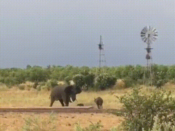 어머어머 얘 왜그러니 아이고 죄송합니다;;.gif | 유머 게시판