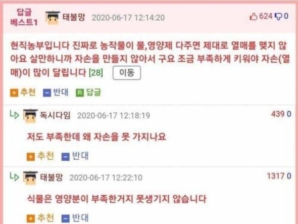 식물이 힘들어야 자손을 남기는 EU | 유머 게시판