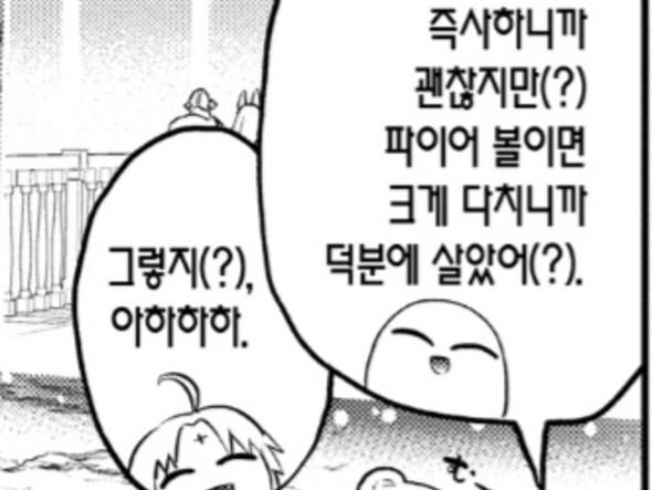 마왕성에서잘자요) 파이어볼이 위험한.eu | 유머 게시판