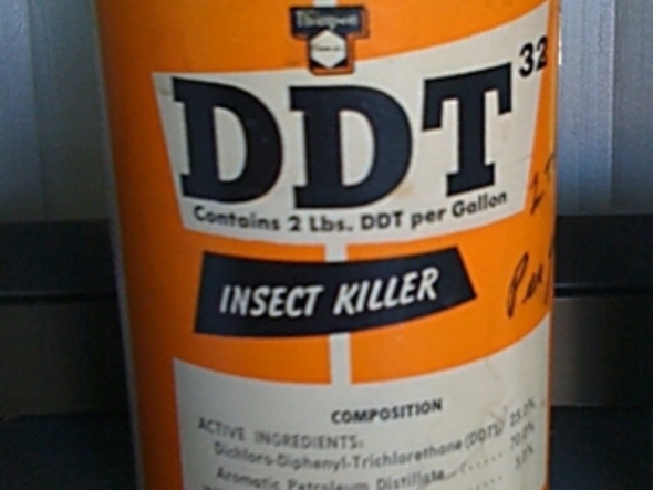 과거에 빈대를 방제한 방법 FEAT DDT | 유머 게시판