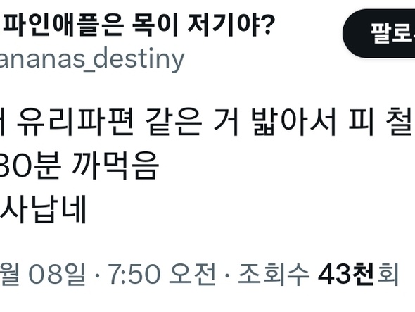 내열 강화 유리 그릇을 조심해야하는 이유.jpg | 유머 게시판 | RULIWEB