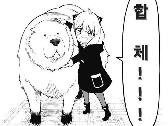 스파패갤러리 3000일 정지짤 | 유머 게시판 | RULIWEB