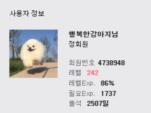 베글에 레벨 200넘는 ㅁㅊㄴ 있네 그랬는데 ㅋㅋ | 유머 게시판 | RULIWEB