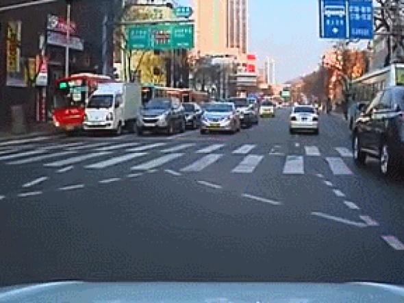 센스 있는 운전자.gif | 유머 게시판