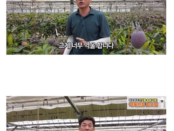 유통이 어메디진이유.eu | 유머 게시판 | RULIWEB