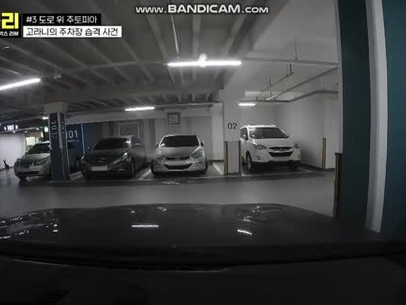 200만원 펀치!! | 유머 게시판 | RULIWEB