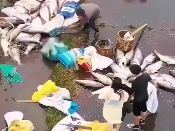 홍수로 난리난 중국 근황.mp4 | 유머 게시판 | RULIWEB