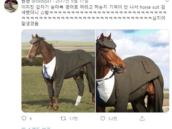 승마복 검색 대참사 | 유머 게시판 | RULIWEB