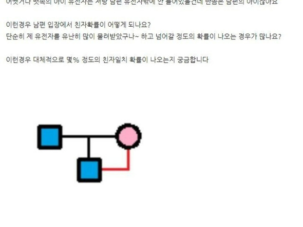 "반쯤은 남편의 아이잖아요.".txt | 유머 게시판 | RULIWEB