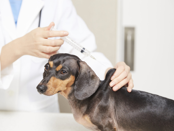 랜덤짤 | 일기장 | RULIWEB