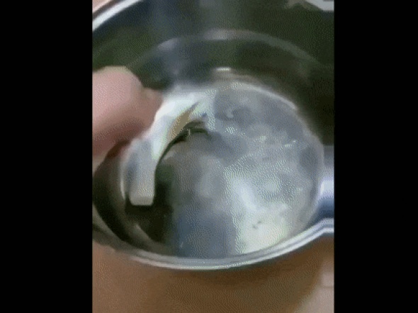 "아이 대신 저를....".gif | 유머 게시판 | RULIWEB