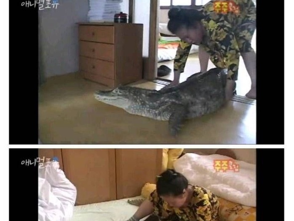 강한 자만 살아남았던 2000년대 부산 | 유머 게시판 | RULIWEB