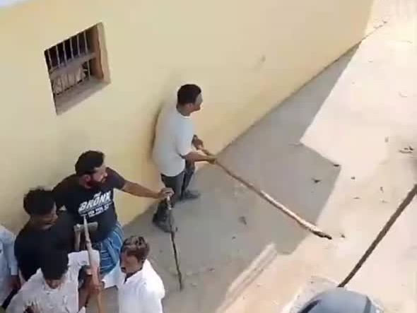 약혐) 인간 vs 표범 gif | 유머 게시판 | RULIWEB