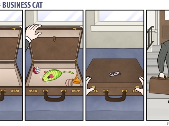 고양이가 CEO인 회사 | 유머 게시판 | RULIWEB