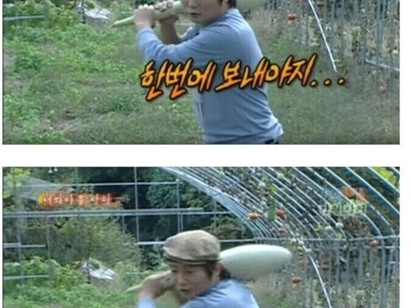 롤)유게 T1편 vs 에이전시편 상황 | 유머 게시판 | RULIWEB