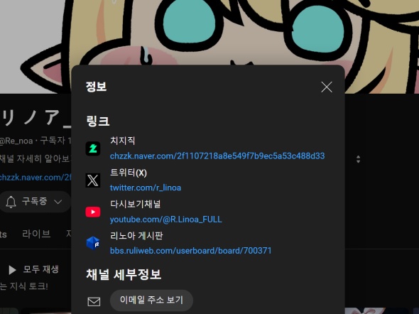 리노아의 유튜브 채널 특징 | R.리노아 | RULIWEB