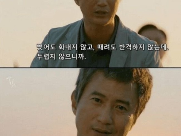 건강보험 CEO 사살사건 보면 이 명언이 떠오름 | 유머 게시판 | RULIWEB