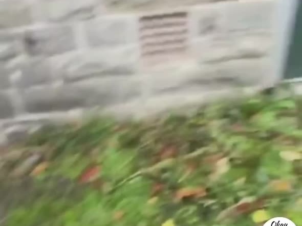 너무 순수한 아기