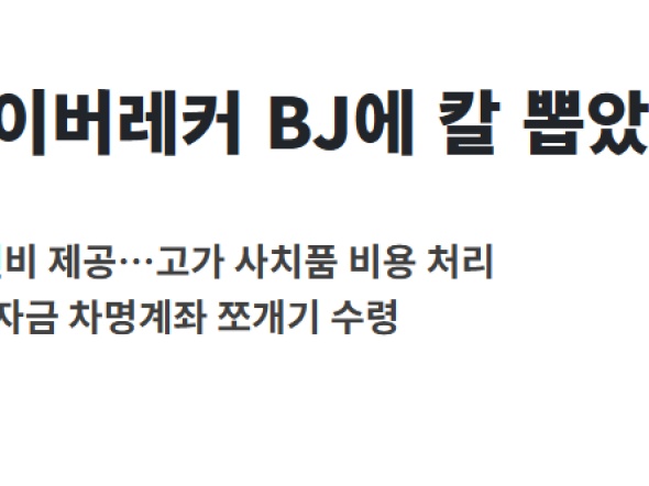 국세청 엑셀방송사이버렉카 BJ에 칼 뽑았다세무조사 착수