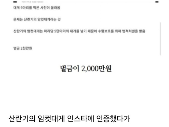 2000만원짜리 대게 인증한 사람들
