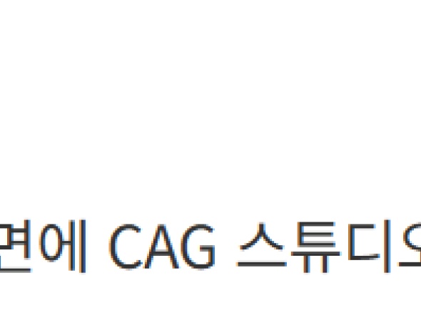 마영전 빈디페 관련 짧은 TMI