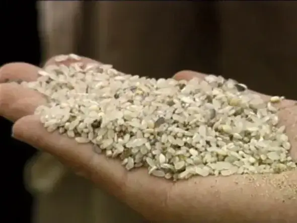 2000년 이후 태어난 사람은 도저히 믿지 못하는것